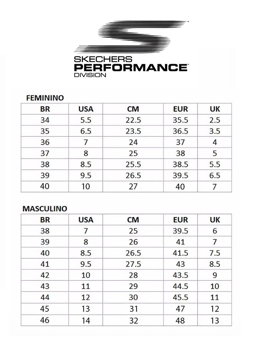 Tenis Skechers go Run Persistence Masculino 246053-RDYL - Ativa Esportes